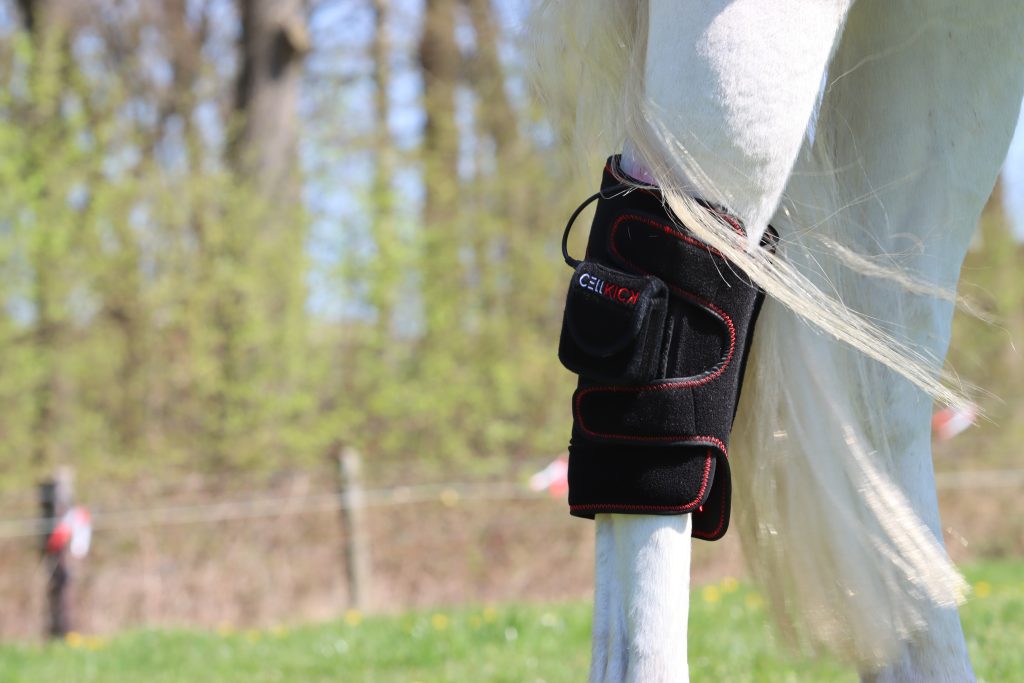 Sprong pad - Cellkick