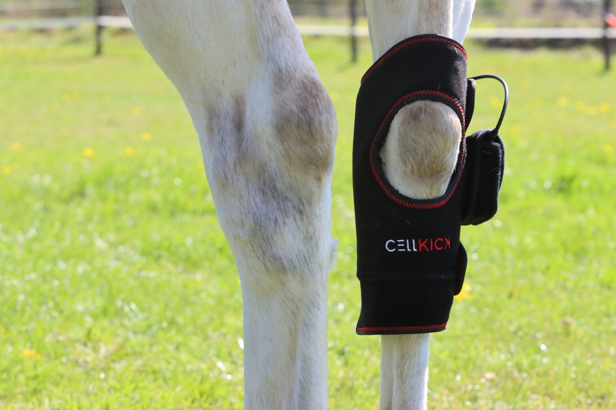 Sprong pad - Cellkick